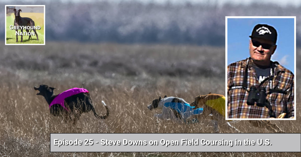 Steve Downs on Open Field Coursing in the U.S. | Greyhound Nation